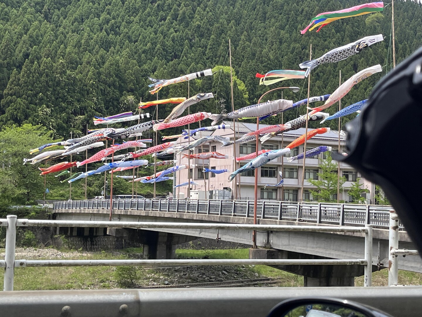 毛無山・白馬山 / momacさんの毛無山の活動データ | YAMAP / ヤマップ