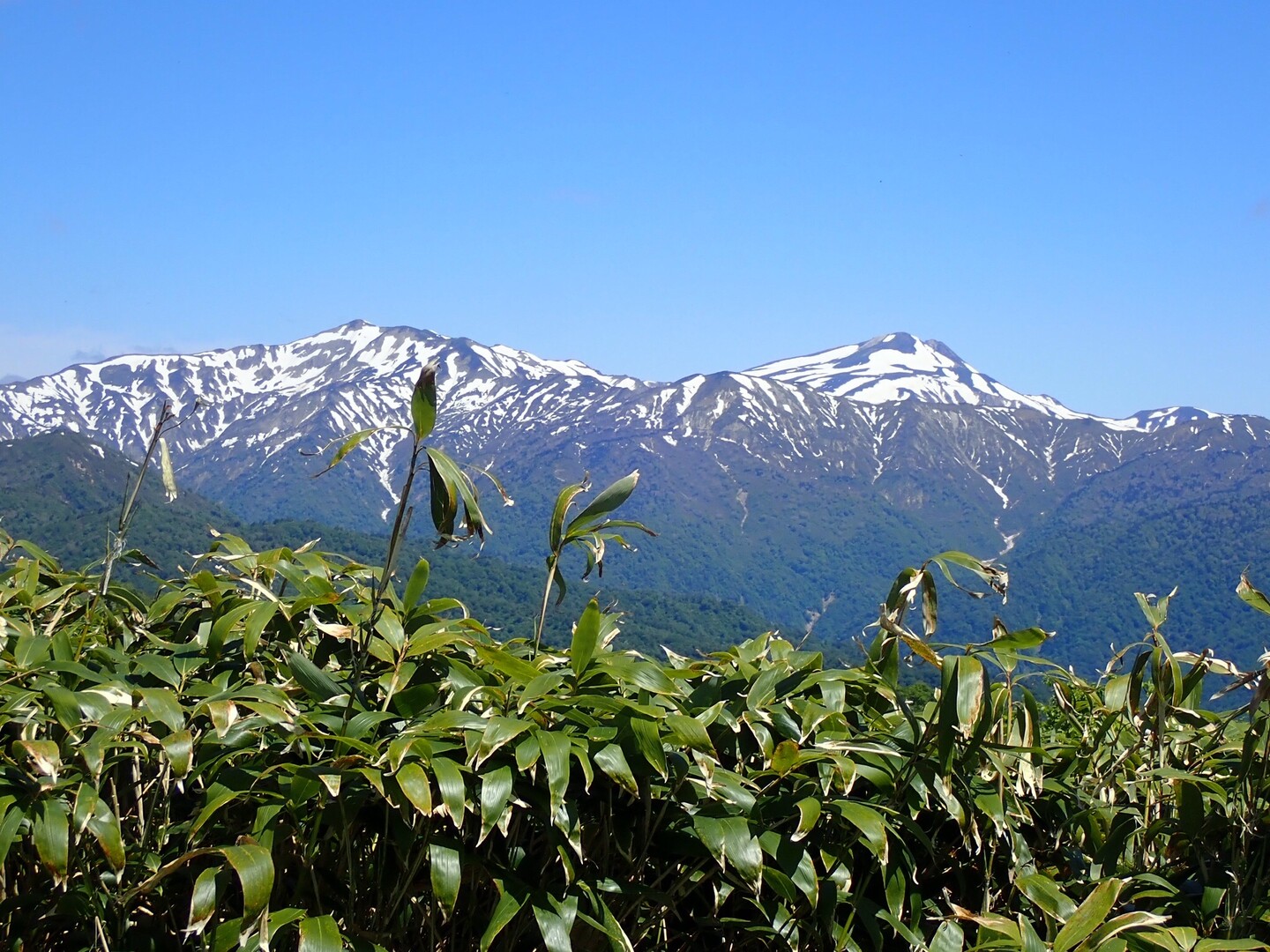 大日ヶ岳 / jiro23さんの大日ヶ岳・毘沙門岳の活動データ | YAMAP / ヤマップ