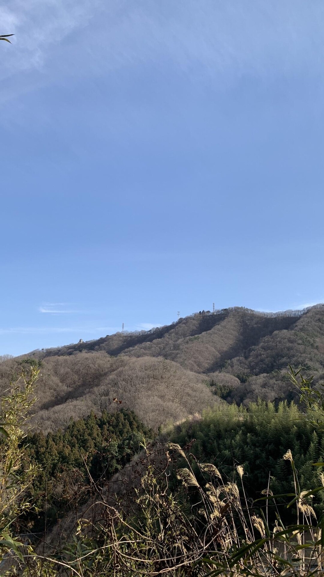 牛伏山 / cosuyaさんの牛伏山・城山の活動データ | YAMAP / ヤマップ