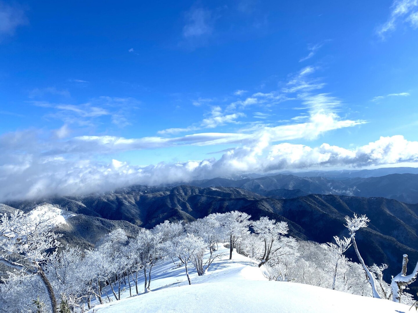 三室山 / Traciさんの三室山・空山の活動データ | YAMAP / ヤマップ