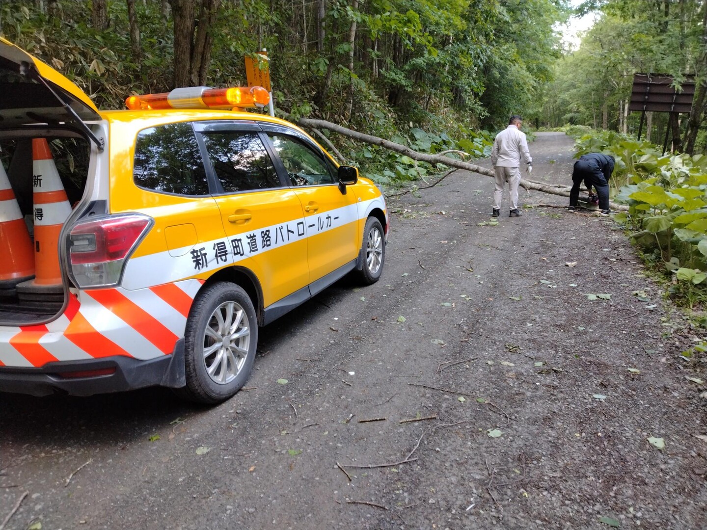 北海道上陸1座目撤退 トムラウシ-2024-07-02 / nobさんのGT3 2の活動データ | YAMAP / ヤマップ