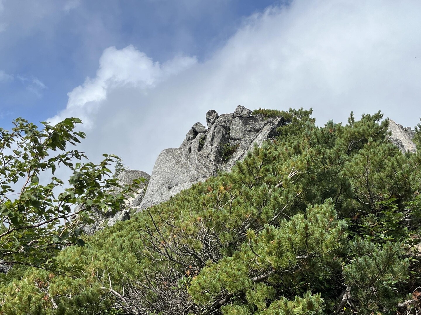 Meg Takaoさんの投稿したフィールドメモ | YAMAP / ヤマップ
