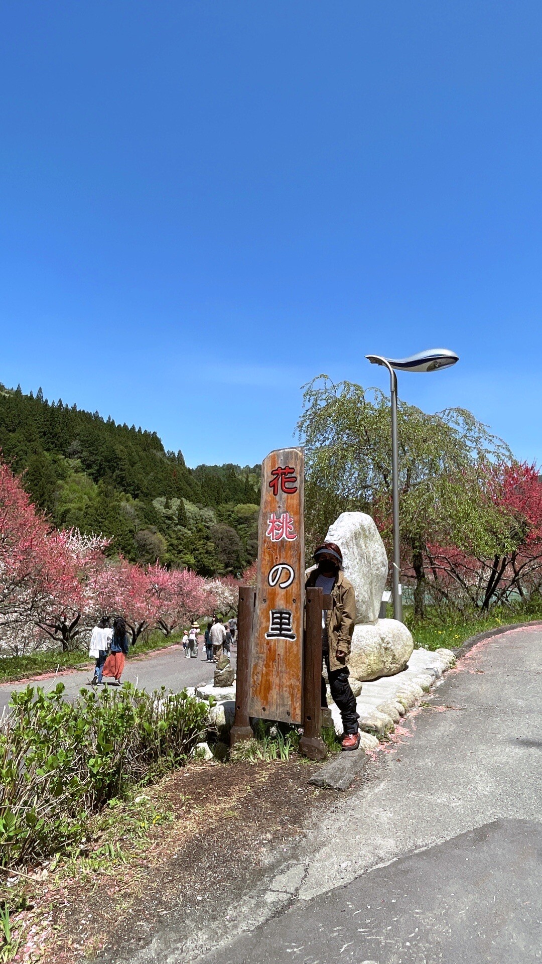 花桃の里-2022-04-30 / Keiさんの登山の活動データ | YAMAP / ヤマップ