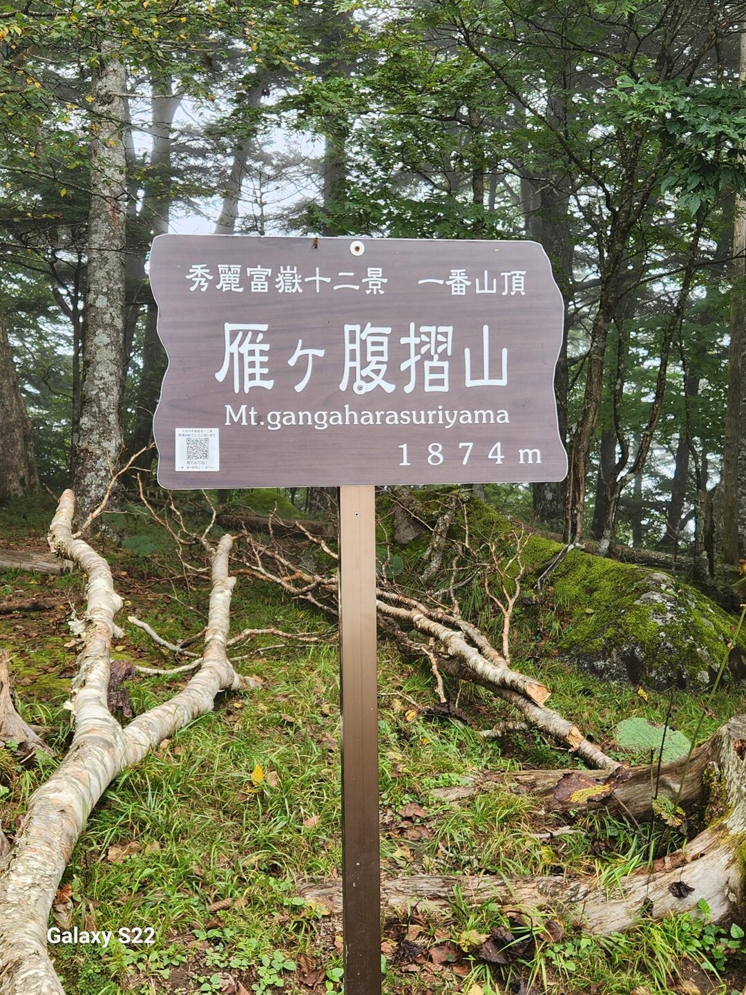 プチ山散歩雁ヶ腹摺山2024-09-15 / 新忠さんのウォーキングの活動データ | YAMAP / ヤマップ