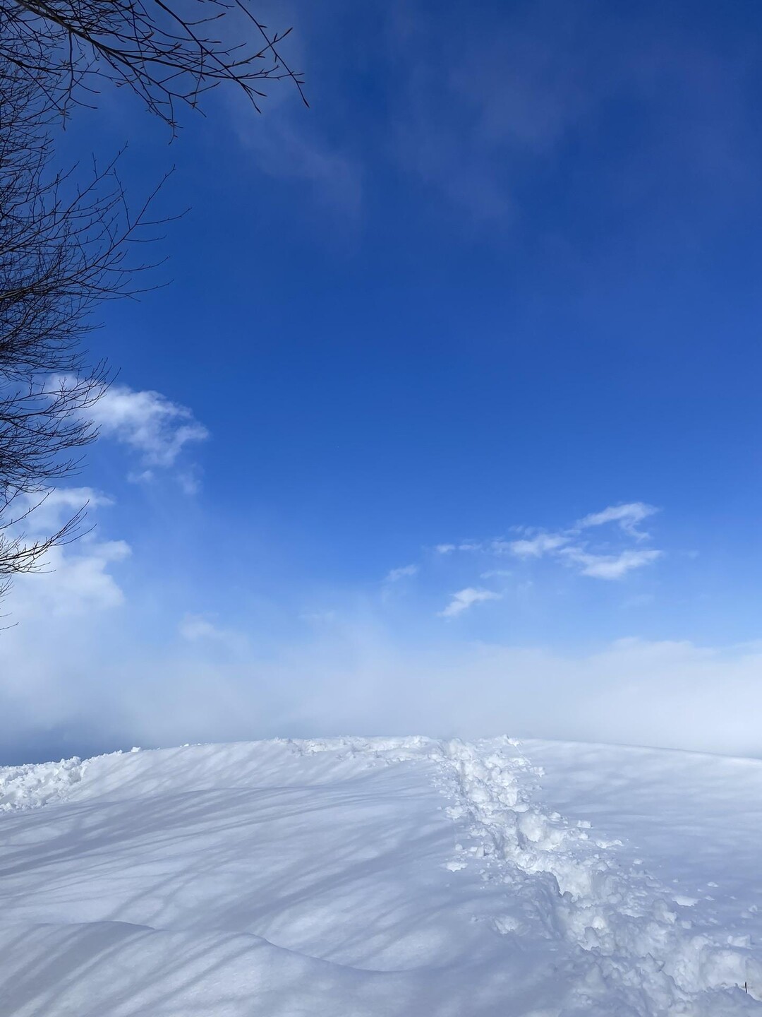 願文山・大峰山20230205 / Kuさんの櫛形山・鳥坂山・大峰山（櫛形山脈）の活動データ | YAMAP / ヤマップ