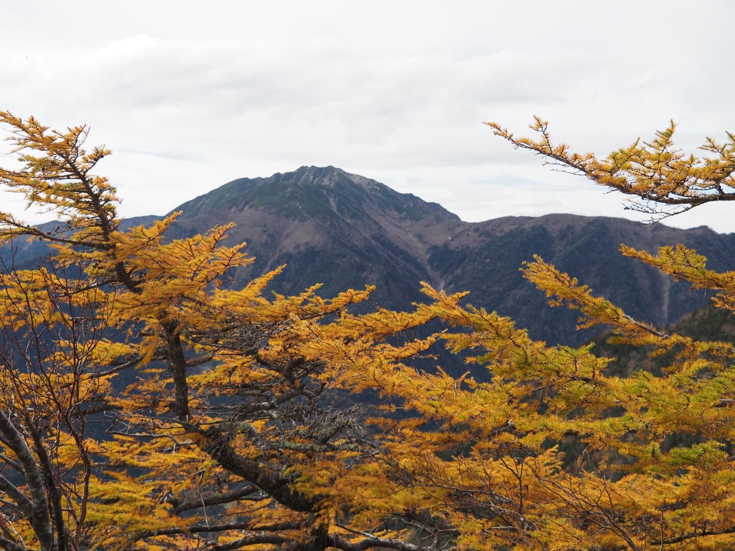 小仙丈ヶ岳・仙丈ヶ岳・双児山・駒津峰・甲斐駒ヶ岳 / KOJI upさんの仙丈ヶ岳・伊那荒倉岳の活動データ | YAMAP / ヤマップ