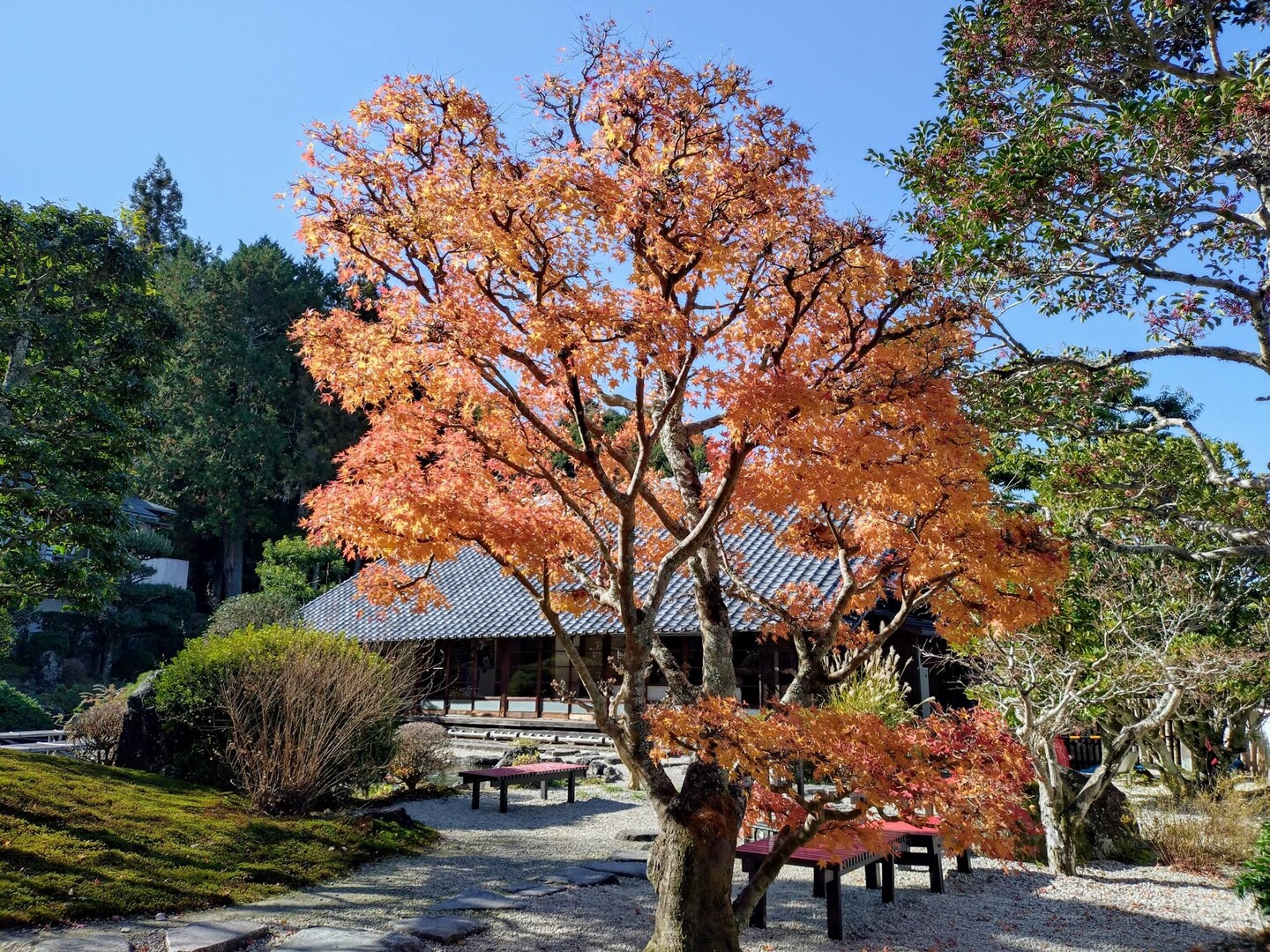 お山に行けないのでブラブラ散歩 No1.... / usaさんのモーメント | YAMAP / ヤマップ