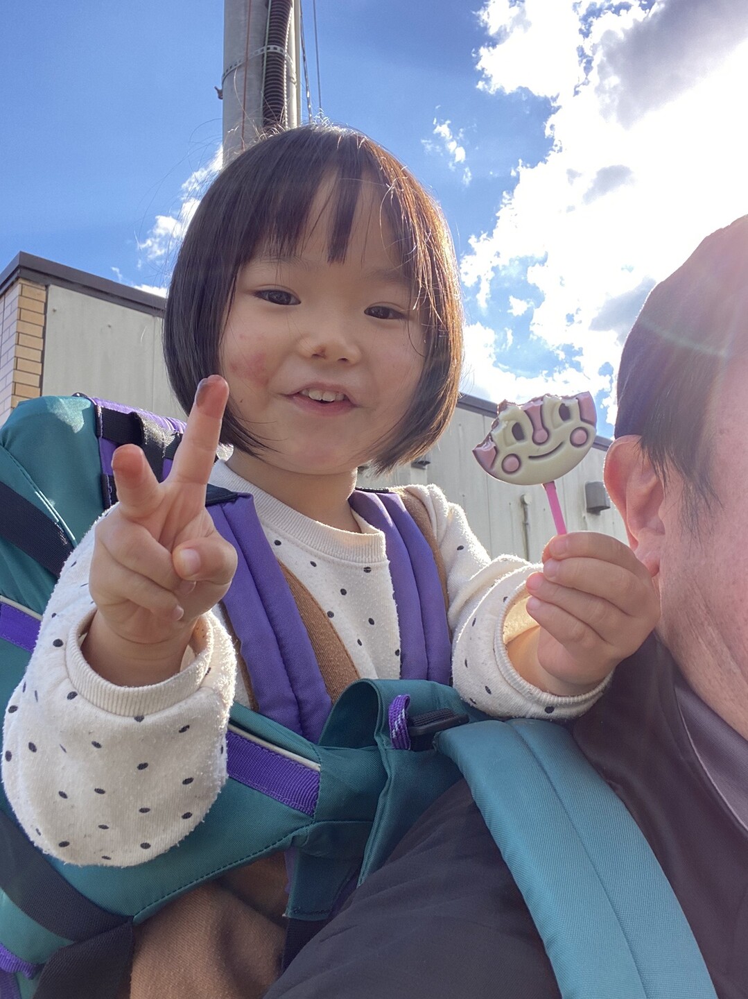 福智町の里山探訪15.丸山 2022-1-8 / YA –YAMAさんの福智山・尺岳・雲取山の活動データ | YAMAP / ヤマップ