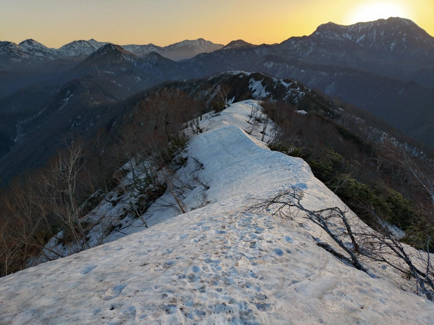 東山・堂津岳:信州100名山 / zumiさんの雨飾山・大渚山・天狗原山・戸倉山の活動データ | YAMAP / ヤマップ