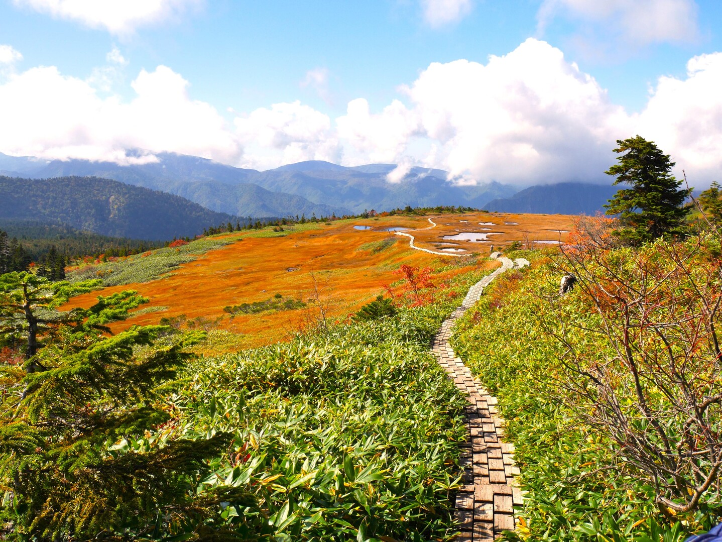 苗場山 / kajiさんの苗場山・赤倉山・佐武流山の活動データ | YAMAP / ヤマップ