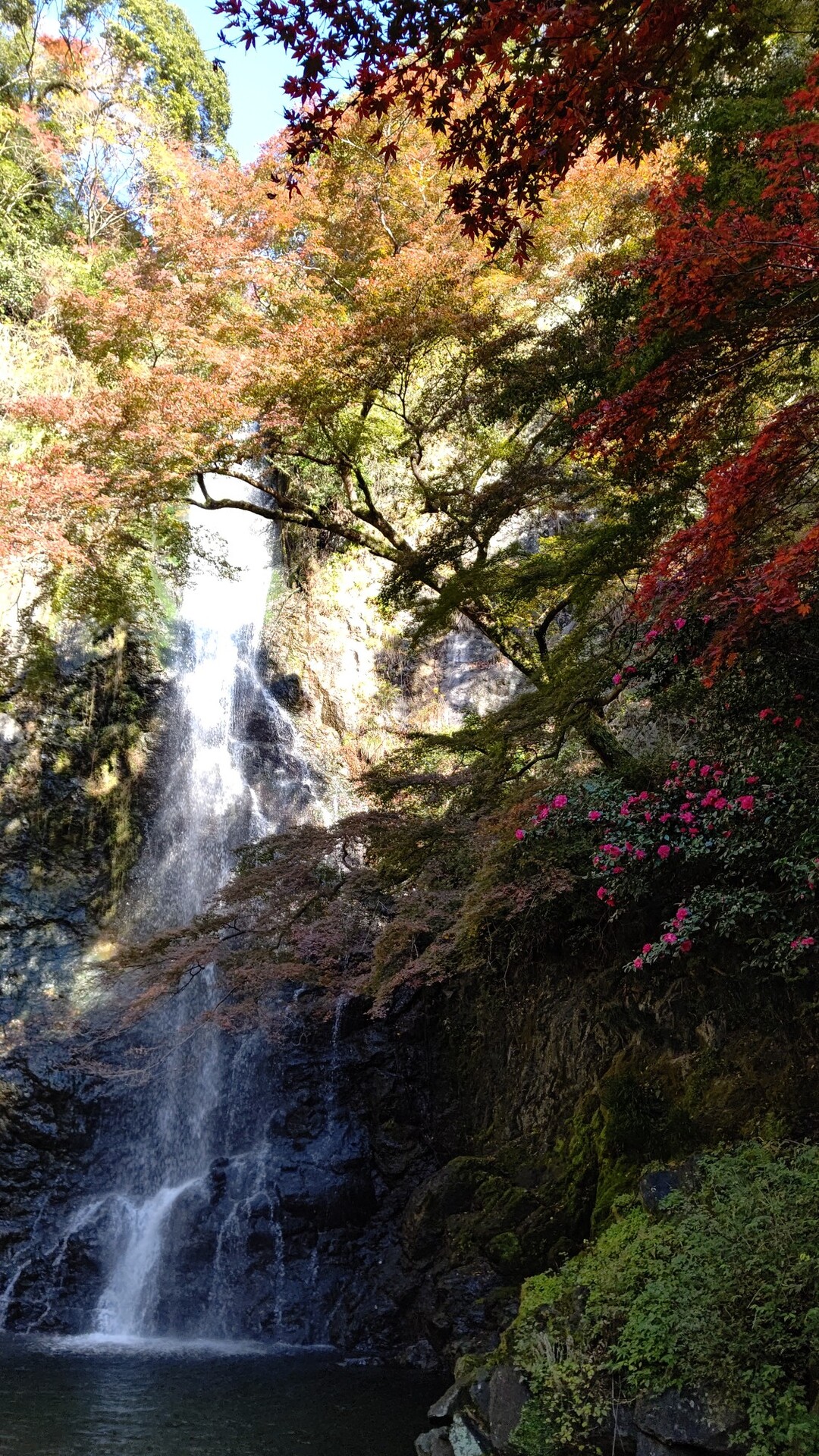 mieのページ | YAMAP / ヤマップ