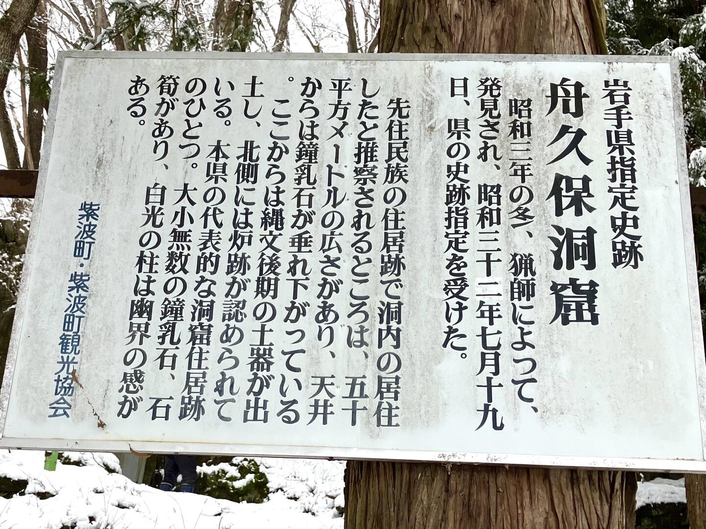 穴が有ったら入りたいオラは縄文時代の横穴... / さちGさんのモーメント | YAMAP / ヤマップ