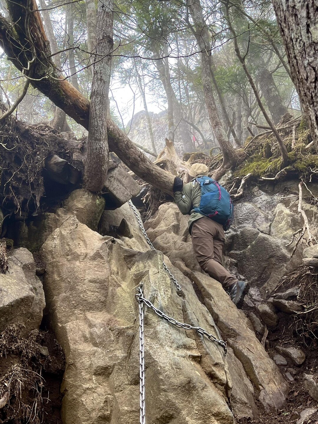 SAYAKAさんの投稿したフィールドメモ | YAMAP / ヤマップ