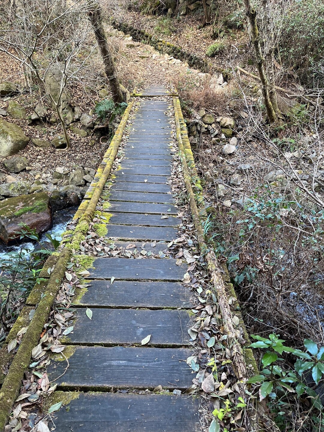 打越山 / madelineさんの六甲山・長峰山・摩耶山の活動データ | YAMAP / ヤマップ