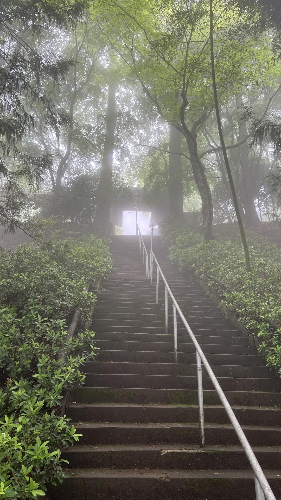 高水三山 / hanさんの高水山・岩茸石山・惣岳山の活動データ | YAMAP / ヤマップ