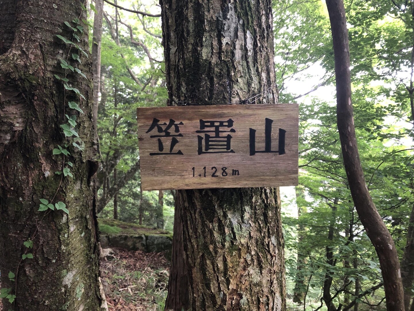 笠置山 / takawestさんの笠置山の活動データ | YAMAP / ヤマップ