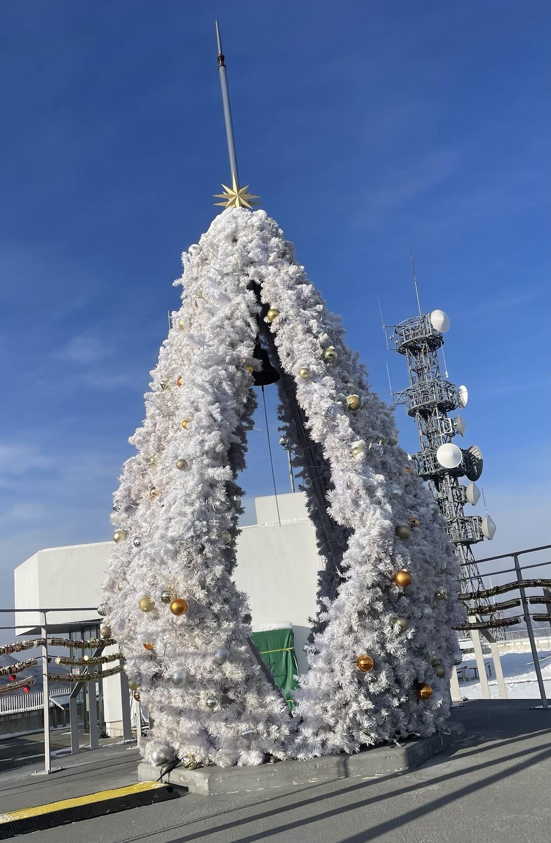 クリスマスツリー🎄藻岩山💖 / me〜さんの藻岩山の活動データ | YAMAP / ヤマップ