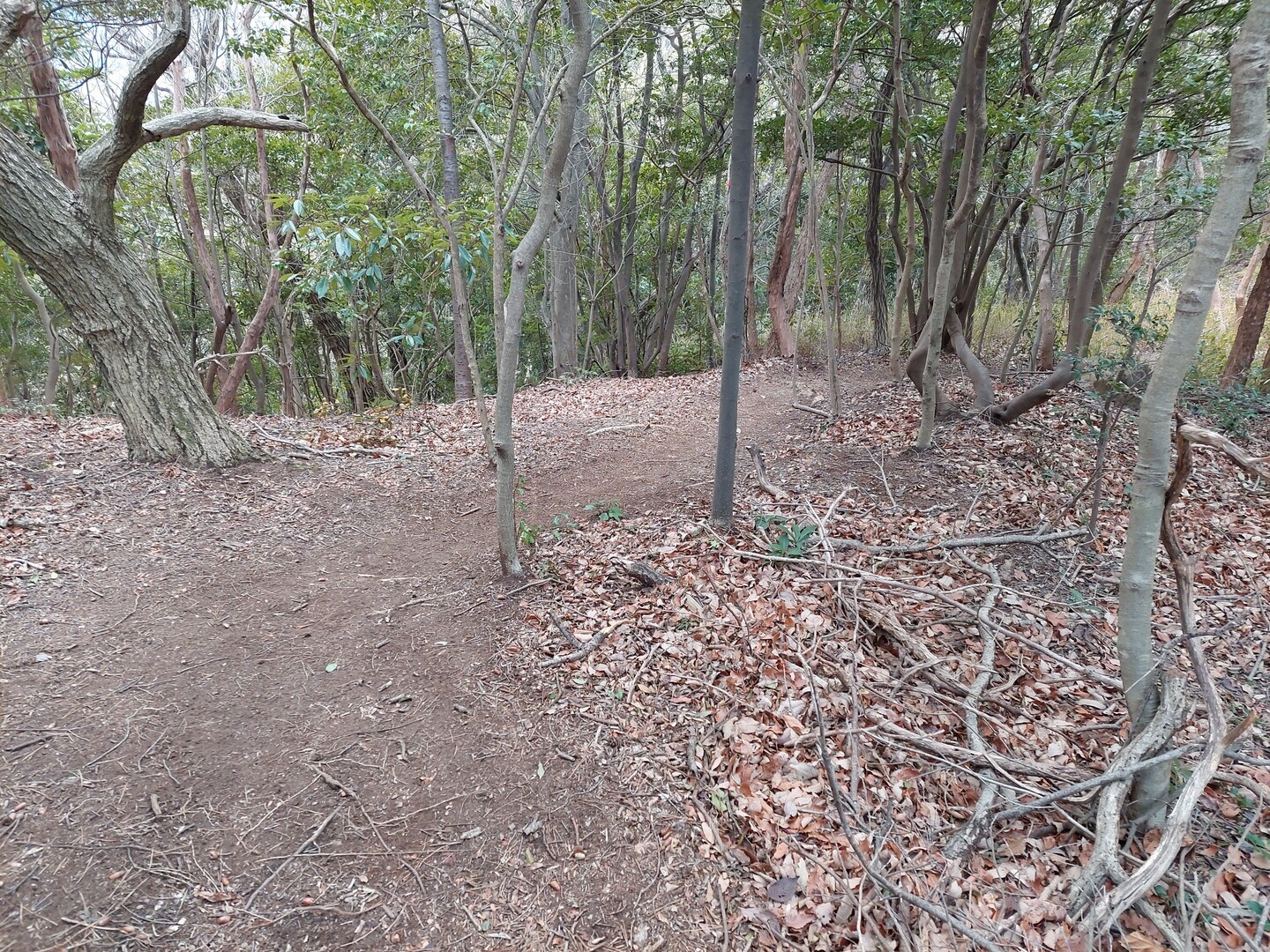 SEIJI～聖～さんの投稿したフィールドメモ | YAMAP / ヤマップ