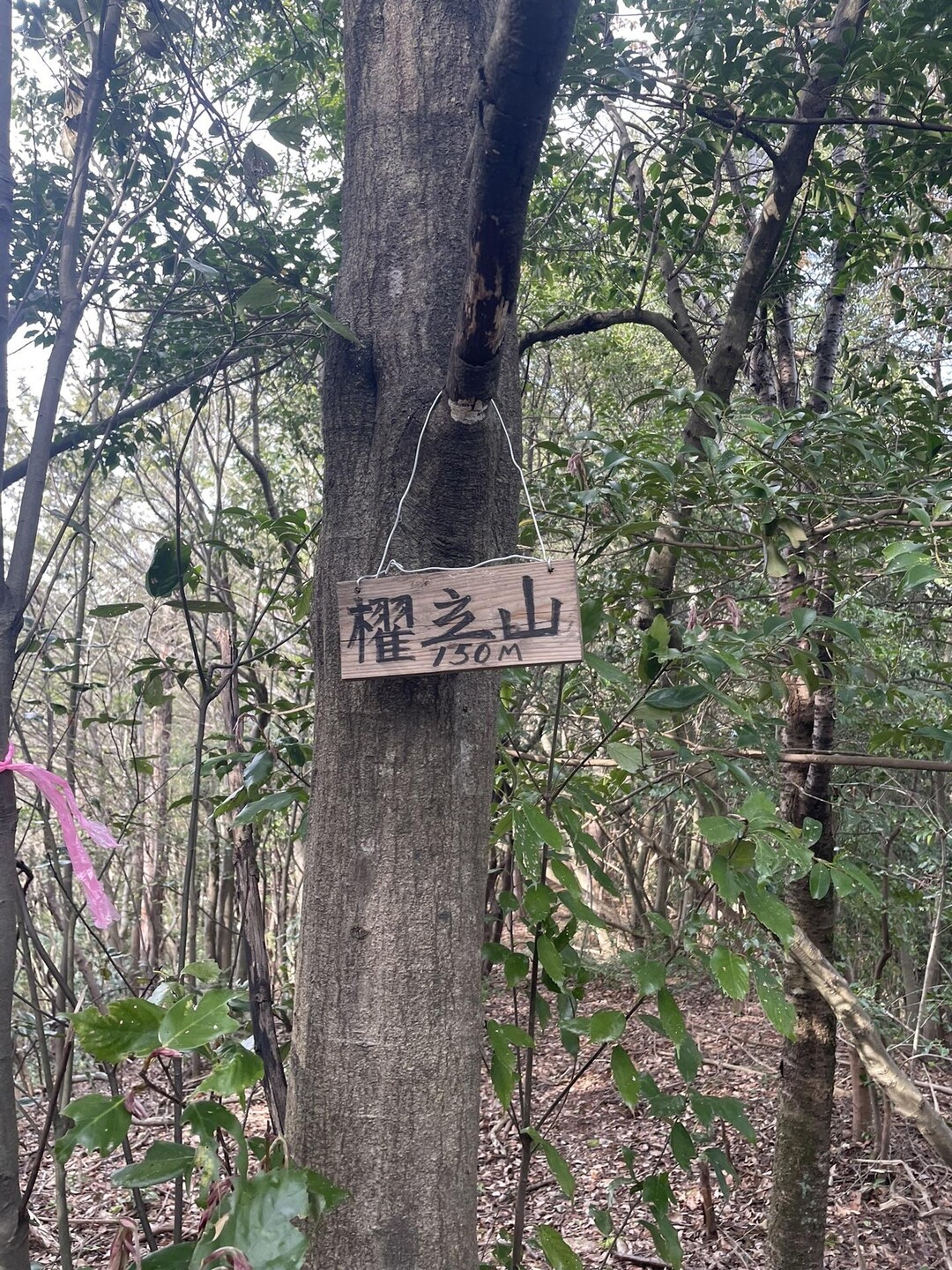 櫂立山 / 1129さんの三峰山の活動データ | YAMAP / ヤマップ