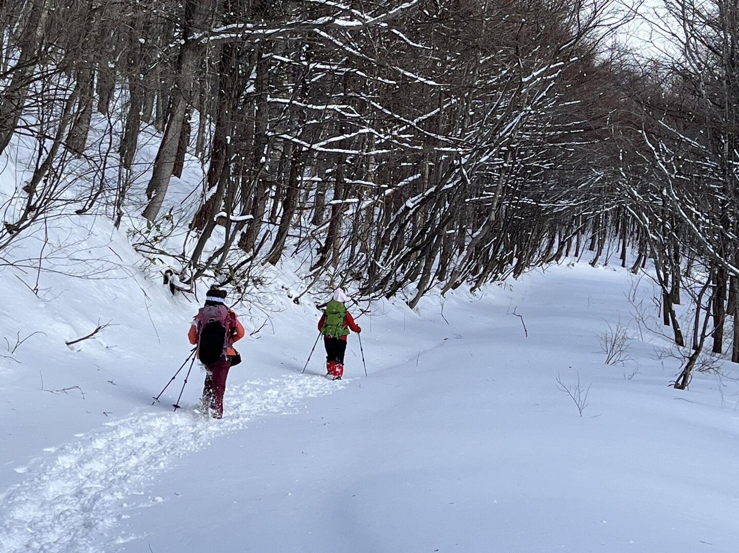 神嶺林道ハイク-2023-01-21 / micremonさんの蔵王山・雁戸山・不忘山の活動データ | YAMAP / ヤマップ