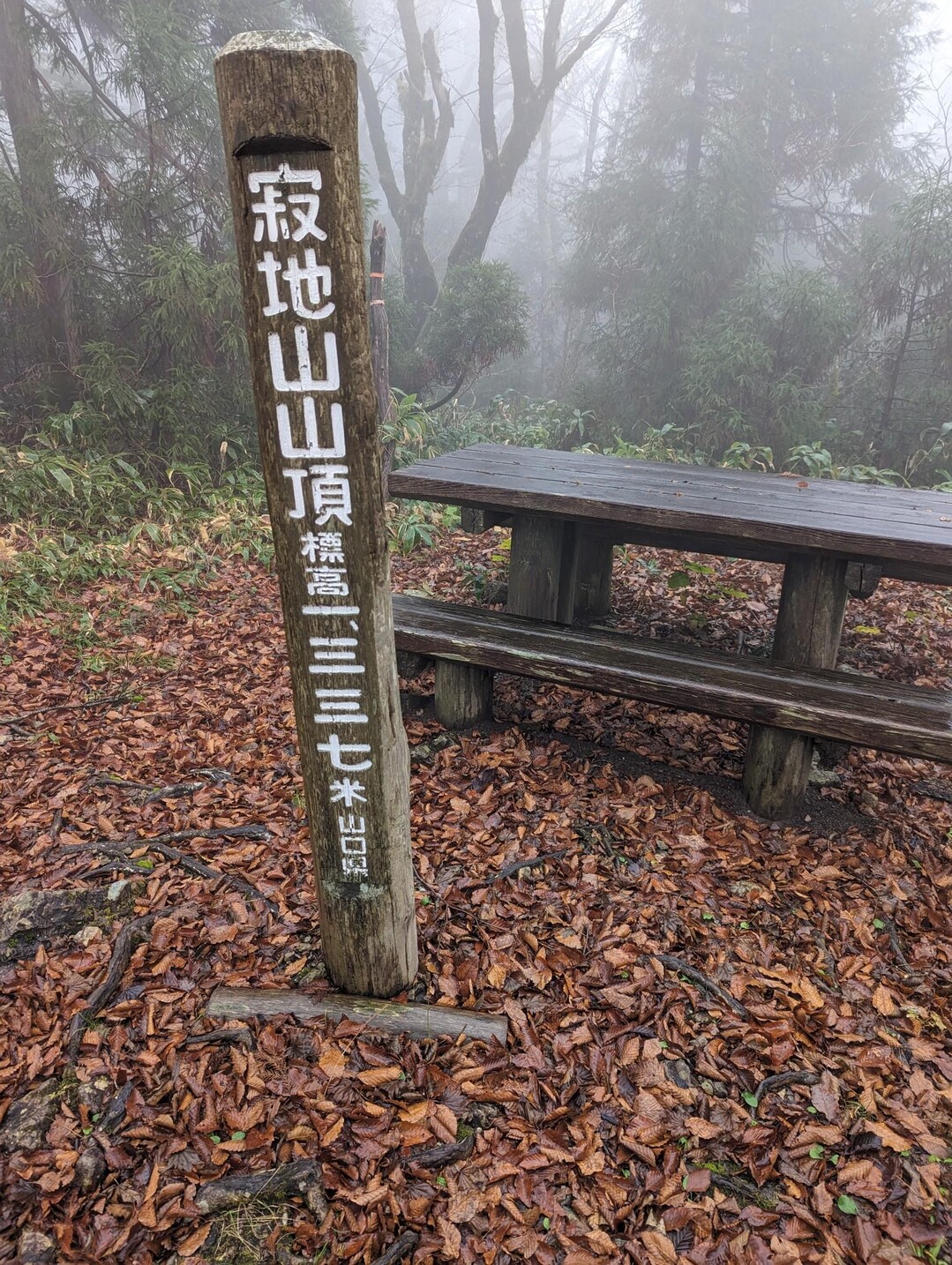 寂地山（山口県最高峰） / yocchi@さんの吉和冠山（安芸冠山）・広高山・寂地山の活動データ | YAMAP / ヤマップ