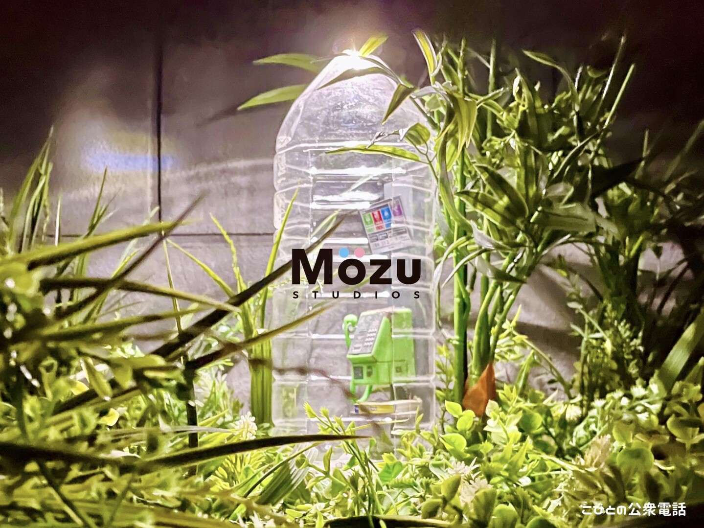 ミニチュア [𝗠𝗼𝘇𝘂] / 𝙥𝙞𝙘𝙠𝙡𝙚𝙨さんの仙台市の活動データ | YAMAP / ヤマップ