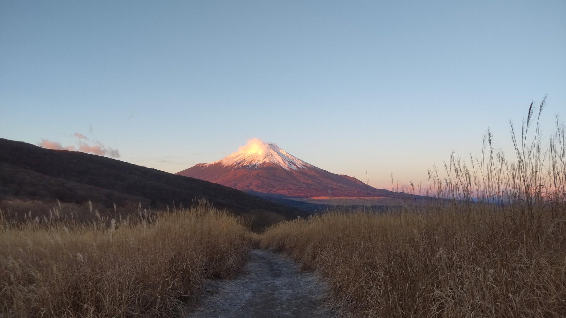 鉄砲木ノ頭(明神山)・三国山・楢木山・明神山 / MORI-Pさんの三国山・大洞山・不老山の活動データ | YAMAP / ヤマップ
