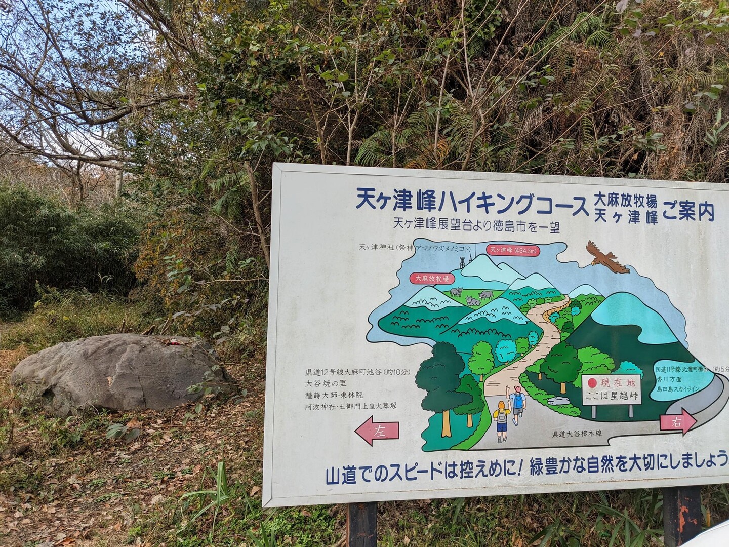 双子谷山・蜂ヶ丸・天円山 / FUJIさんの大麻山・天円山の活動データ | YAMAP / ヤマップ