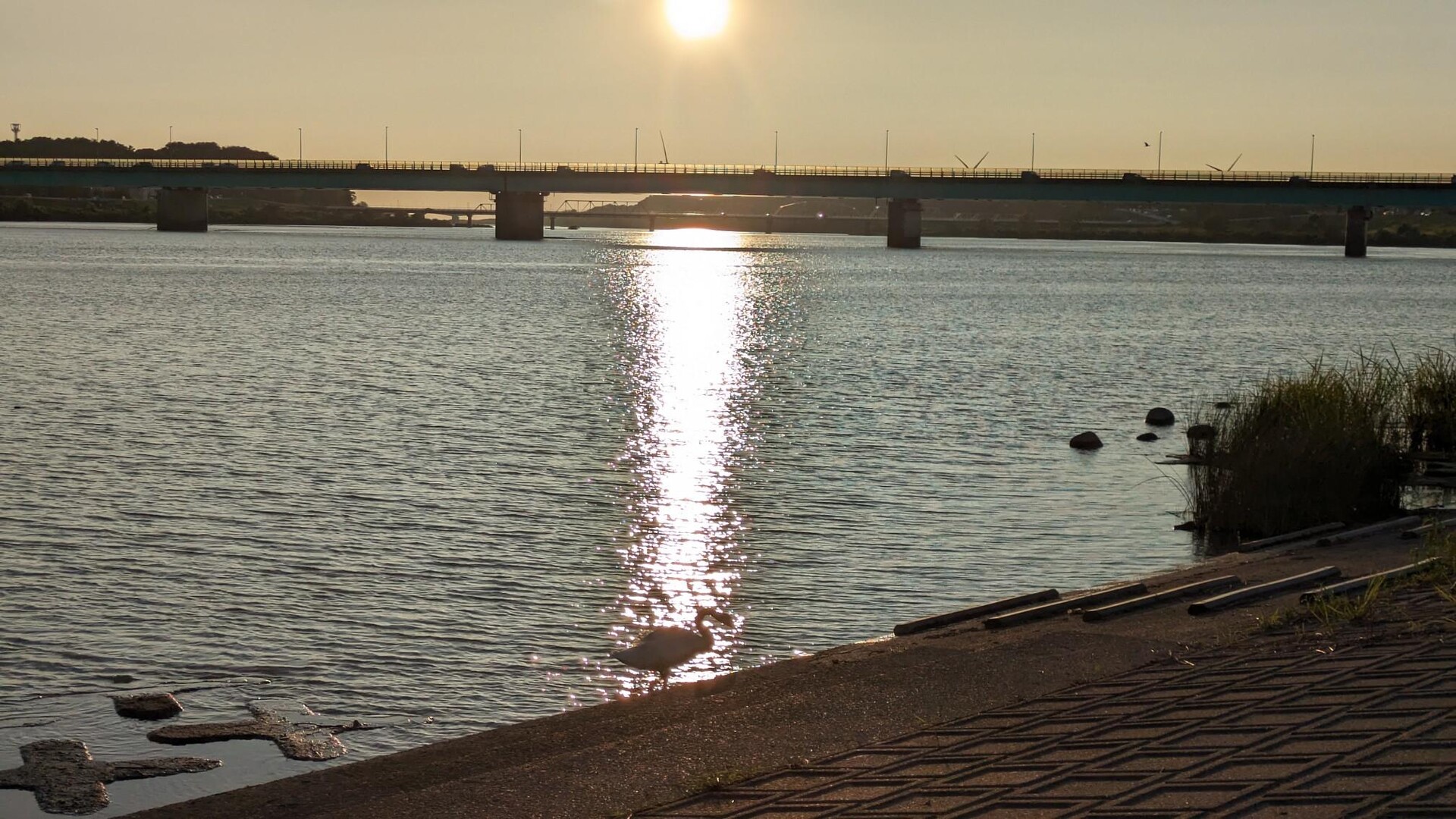 秋田市は連日猛暑です。 明日は36℃の予... / TOTOさんのモーメント | YAMAP / ヤマップ