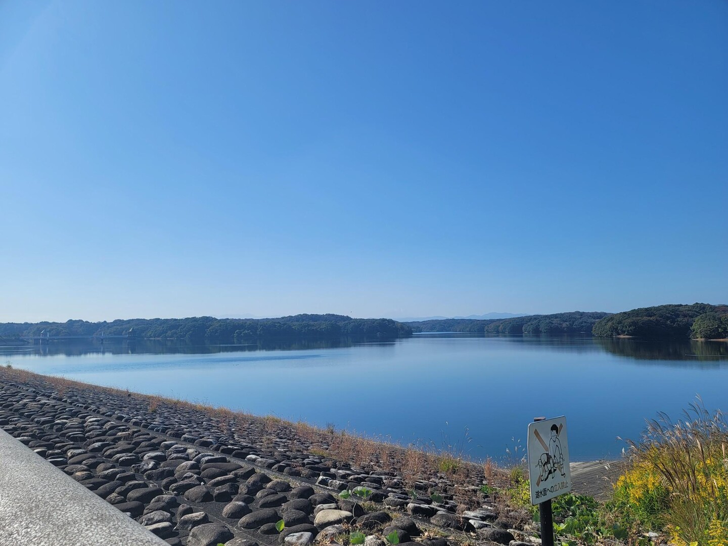 仕事と暑さでめっきり遠ざかっていたお山や... / awaさんのモーメント | YAMAP / ヤマップ