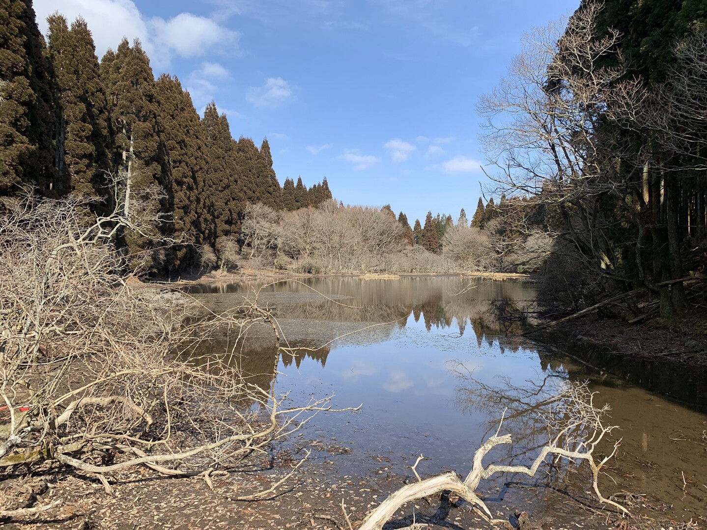 蓮如の道から田代池、榑沢池、恋姫山へ / podoryさんの多度山・美濃松山・石津御嶽の活動データ | YAMAP / ヤマップ