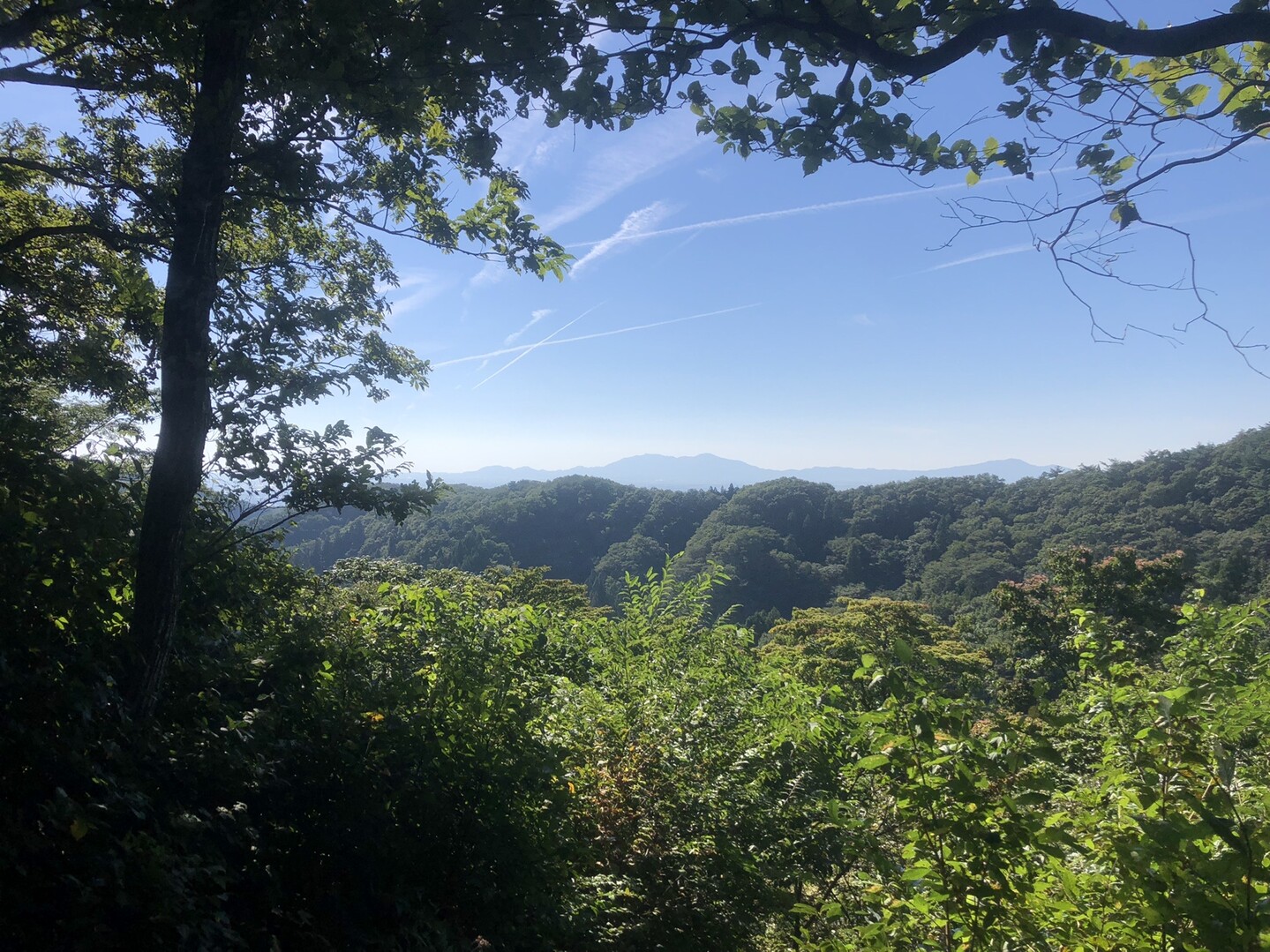 菩堤寺山・高立山 / Naluさんの菩提寺山・高立山・護摩堂山の活動データ | YAMAP / ヤマップ