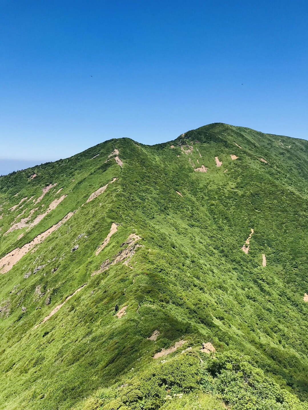 南蔵王縦走 / na.oさんの蔵王山・雁戸山・不忘山の活動データ | YAMAP / ヤマップ