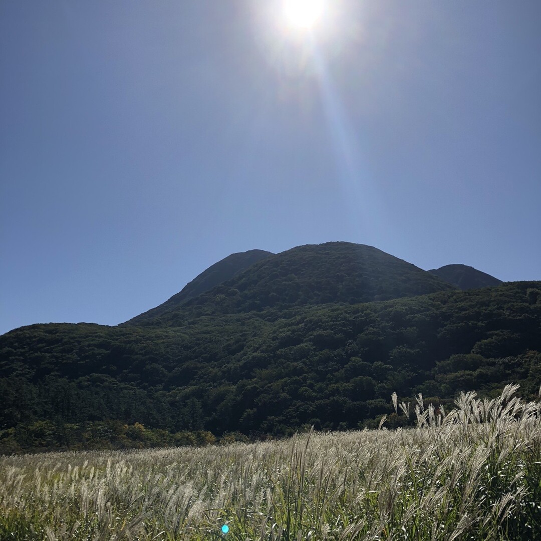 初九重！ 長者原から坊がづる！ 辿り着い... / emiyさんのモーメント | YAMAP / ヤマップ