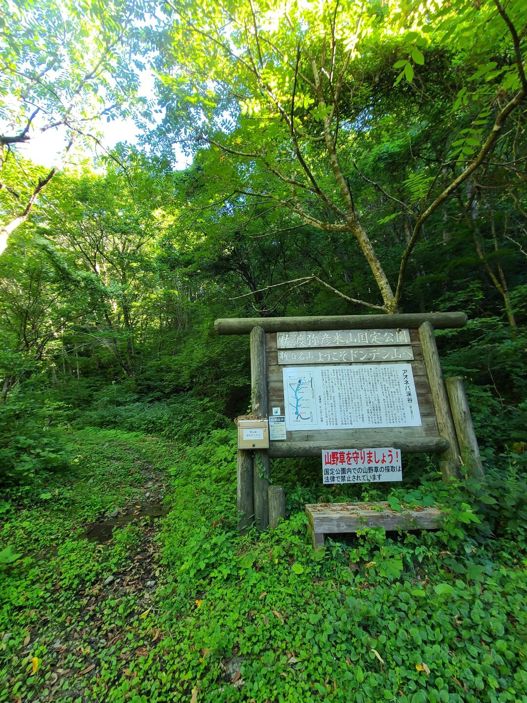 佐渡島-2023-08-11 / ｺﾞﾏｺﾞﾛarさんの佐渡島の活動データ | YAMAP / ヤマップ