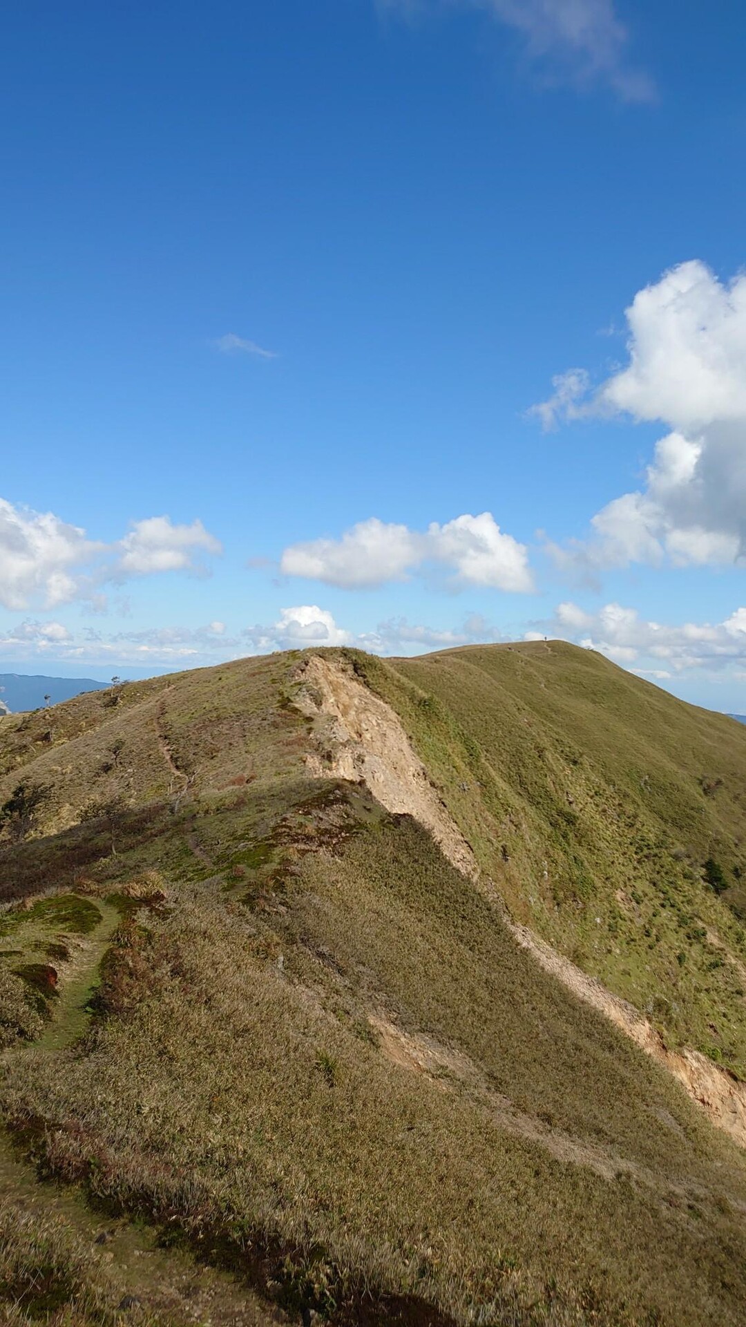 鈴鹿セブンマウンテン 第6弾 竜ヶ岳 / あきpapaさんの竜ヶ岳の活動データ | YAMAP / ヤマップ