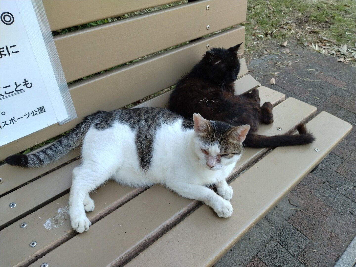 ウォーキング@小瀬スポーツなど-2023-07-11 / syorinさんのウォーキングの活動データ | YAMAP / ヤマップ