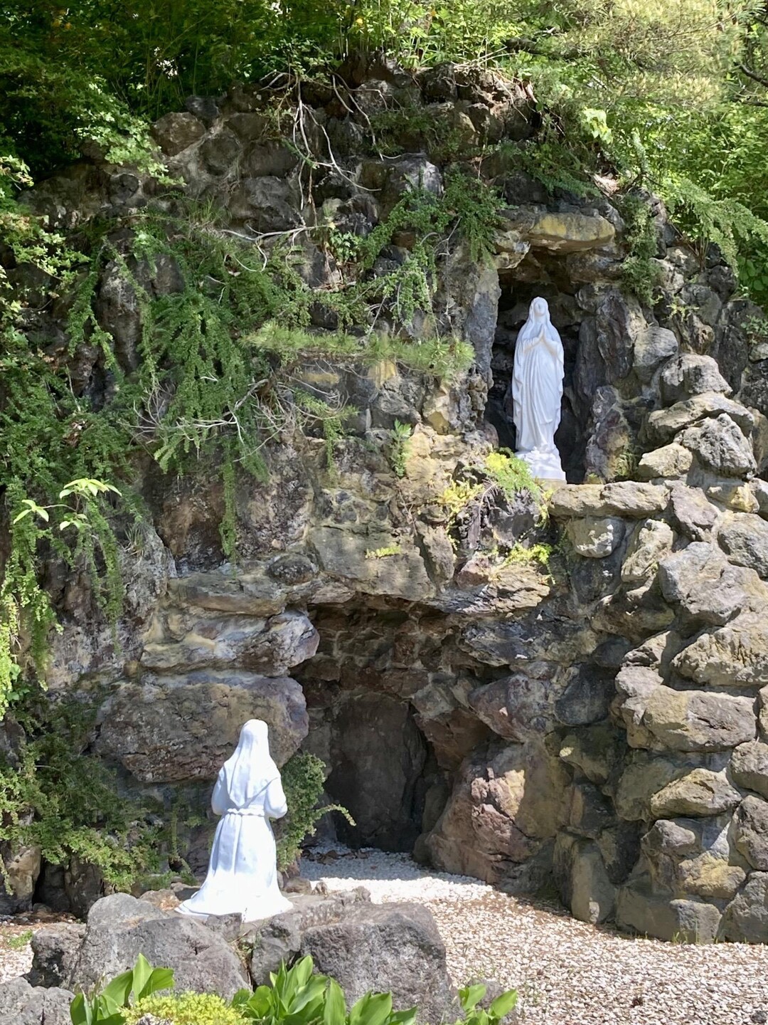 自戒を込めて🙏🙏 先日、中山美穂さん... / tae0218さんのモーメント | YAMAP / ヤマップ