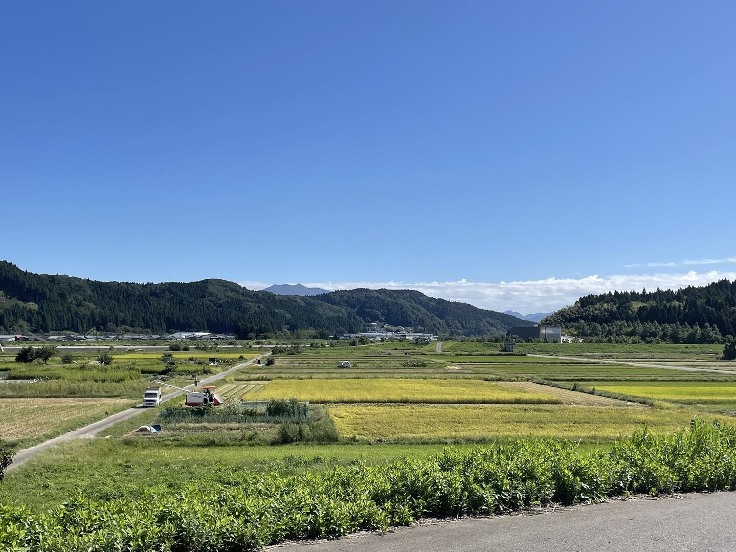 近所の森散歩 / Hiromi-sanさんの三条市の活動データ | YAMAP / ヤマップ