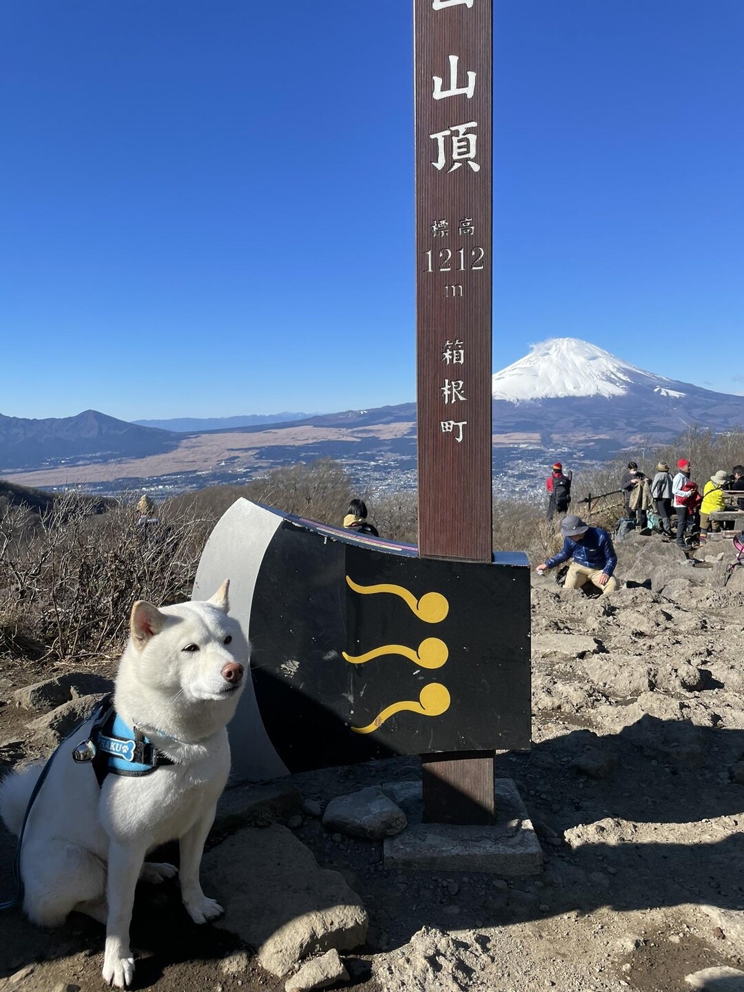 金時山 / HAKU&NAOさんの金時山・明神ヶ岳の活動データ | YAMAP / ヤマップ