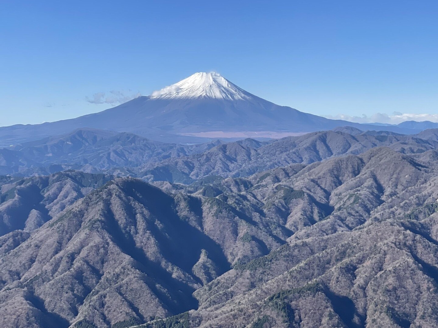 大杉丸・大室山・小笄・大笄・熊笹ノ峰・檜洞丸 / nk-poohさんの大室山・畦ヶ丸山・菰釣山の活動データ | YAMAP / ヤマップ