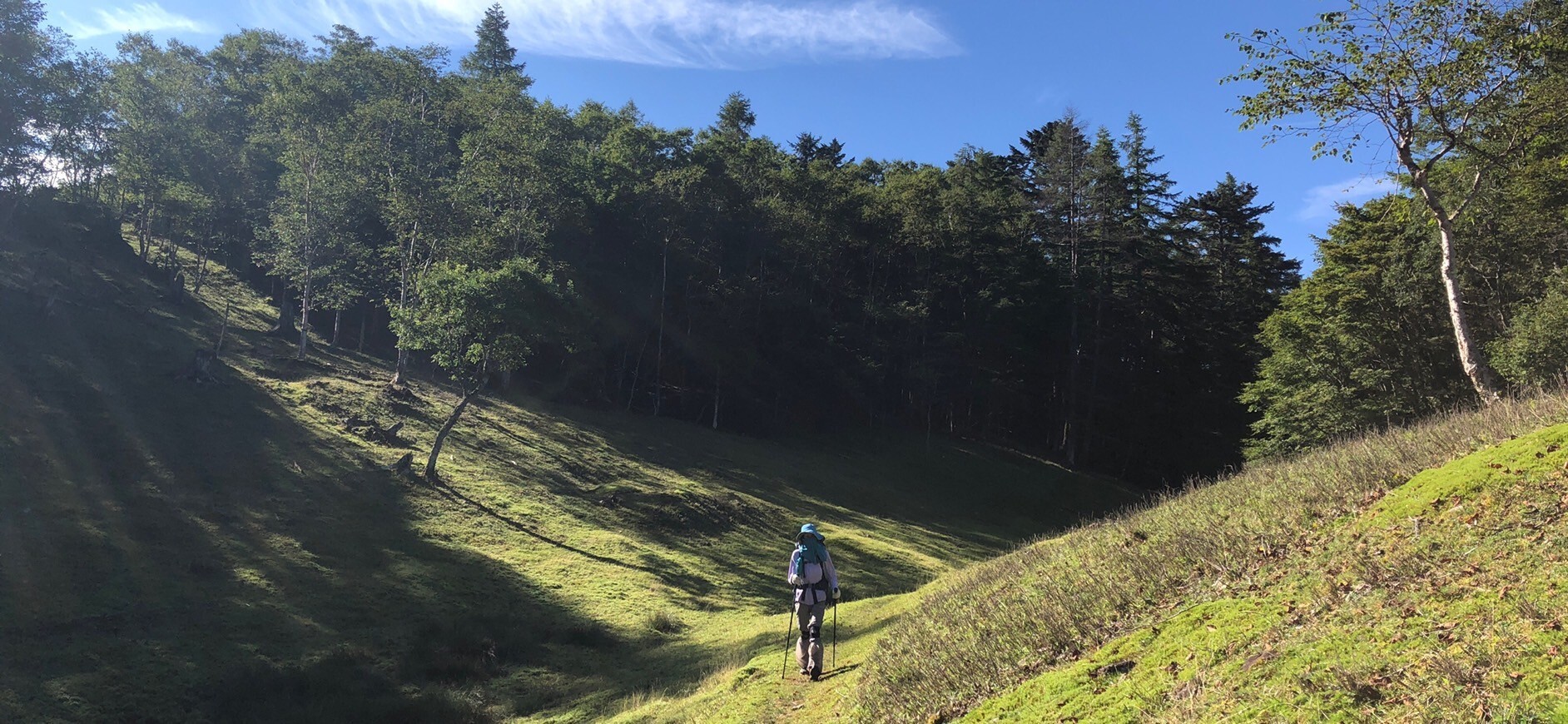 のらりくらりと♪♪♪ ほぼ、1年ぶり... / konkyunさんのモーメント | YAMAP / ヤマップ