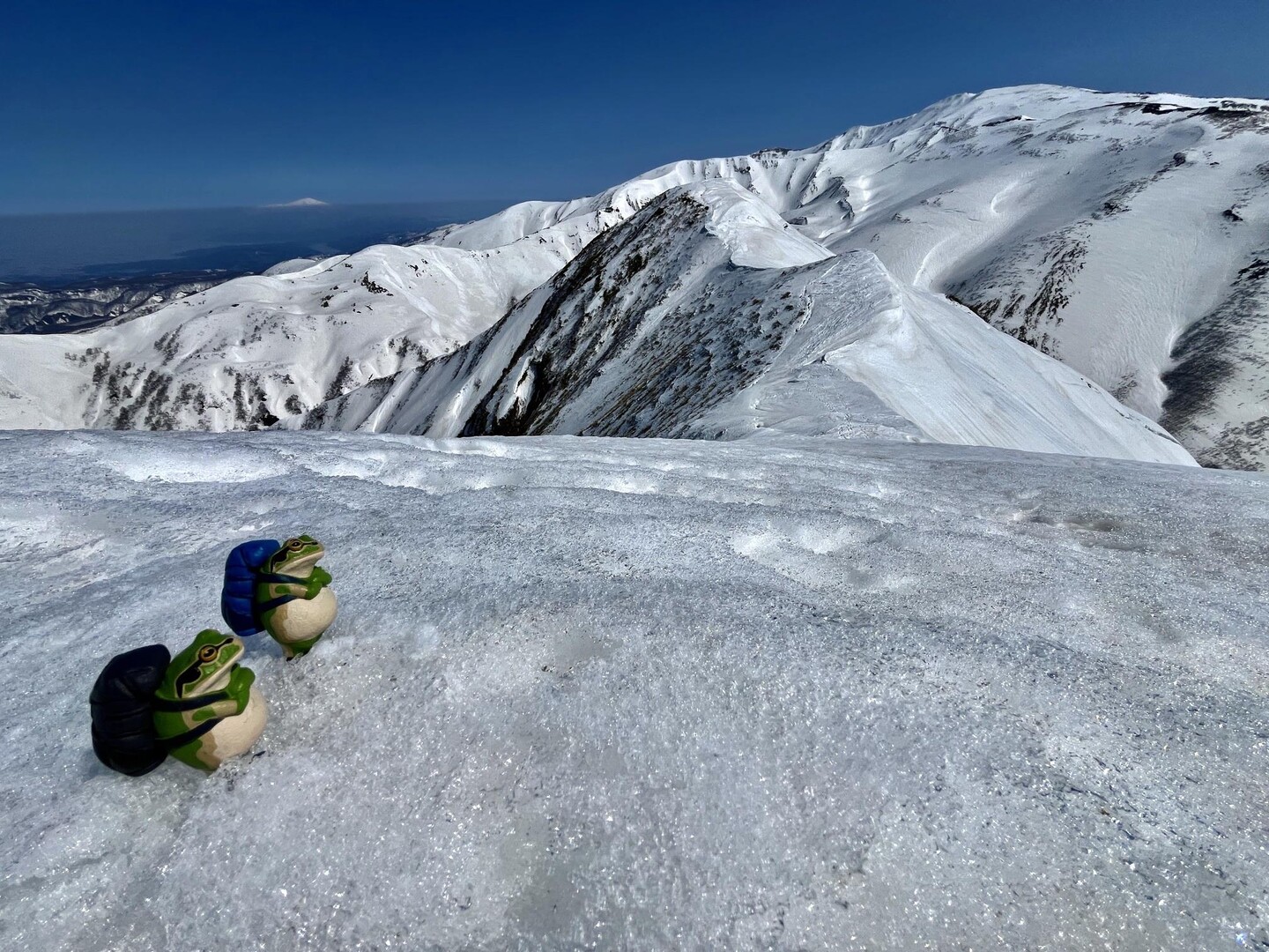 待ってたよー😍湯殿山2024.4.6 / shivaさんの以東岳・寒江山・天狗角力取山の活動データ | YAMAP / ヤマップ