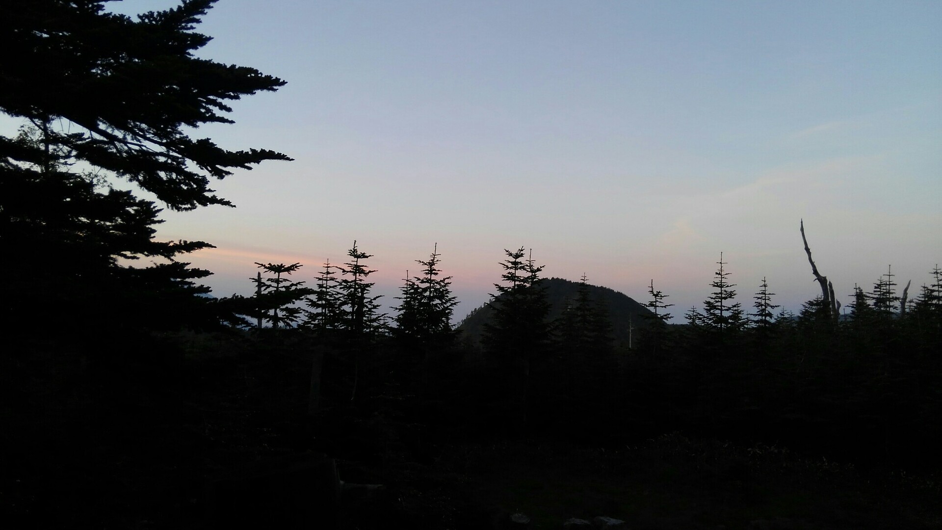 38 奥日光縦走 day3 根名草山から日光沢温泉に / mommutさんの鬼怒沼山・物見山・黒岩山の活動データ | YAMAP / ヤマップ