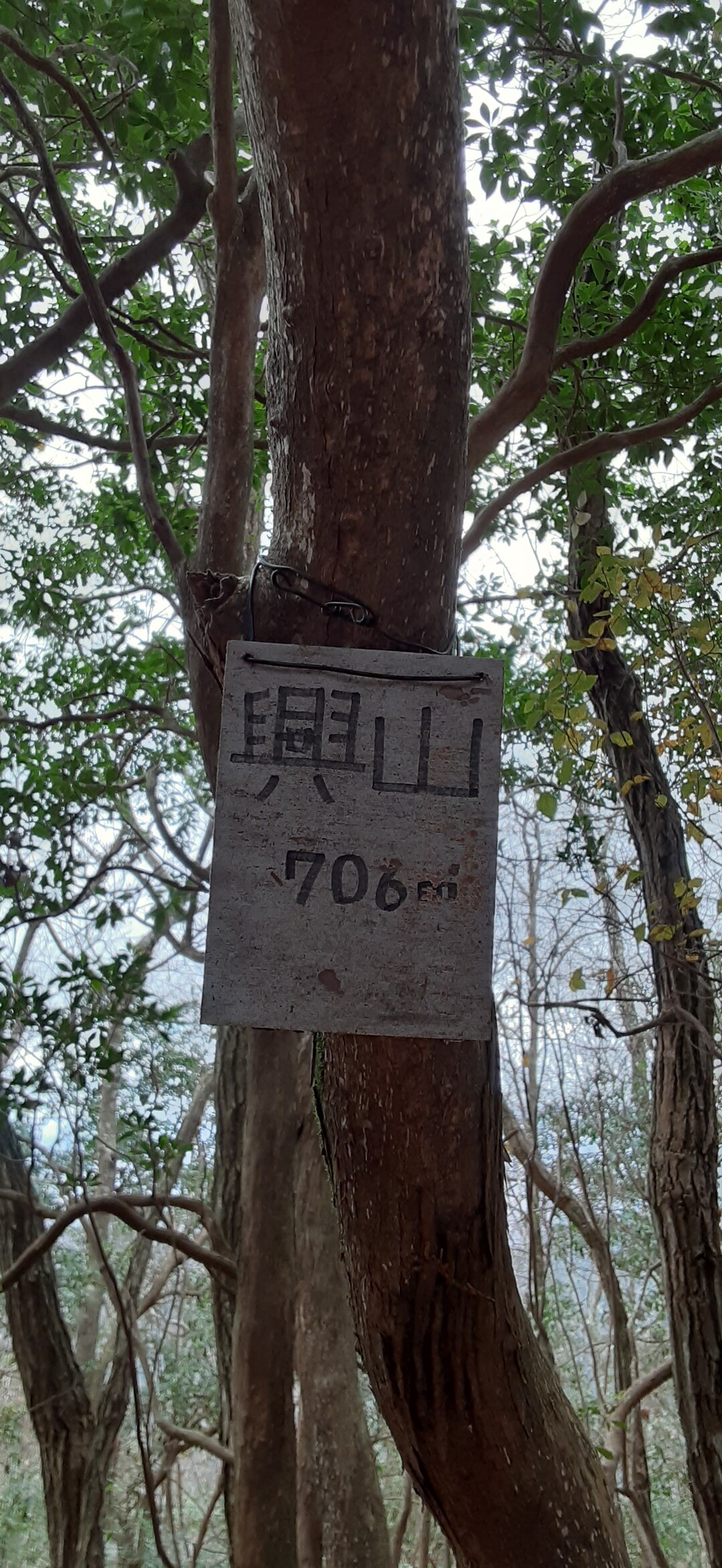 Shinさんの投稿したフィールドメモ | YAMAP / ヤマップ