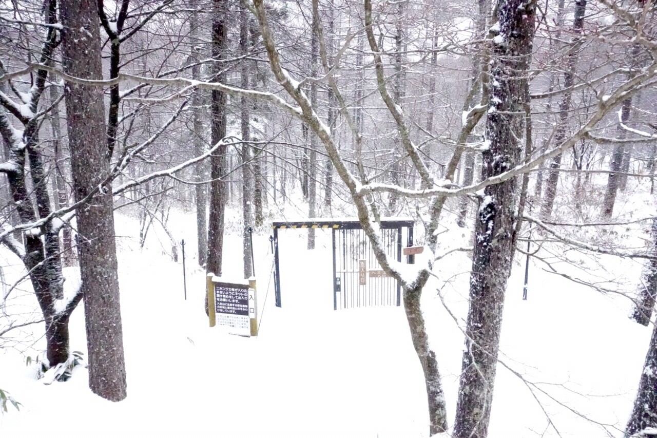 入笠山（2回目） / ma-sa-kiさんの入笠山の活動データ | YAMAP / ヤマップ