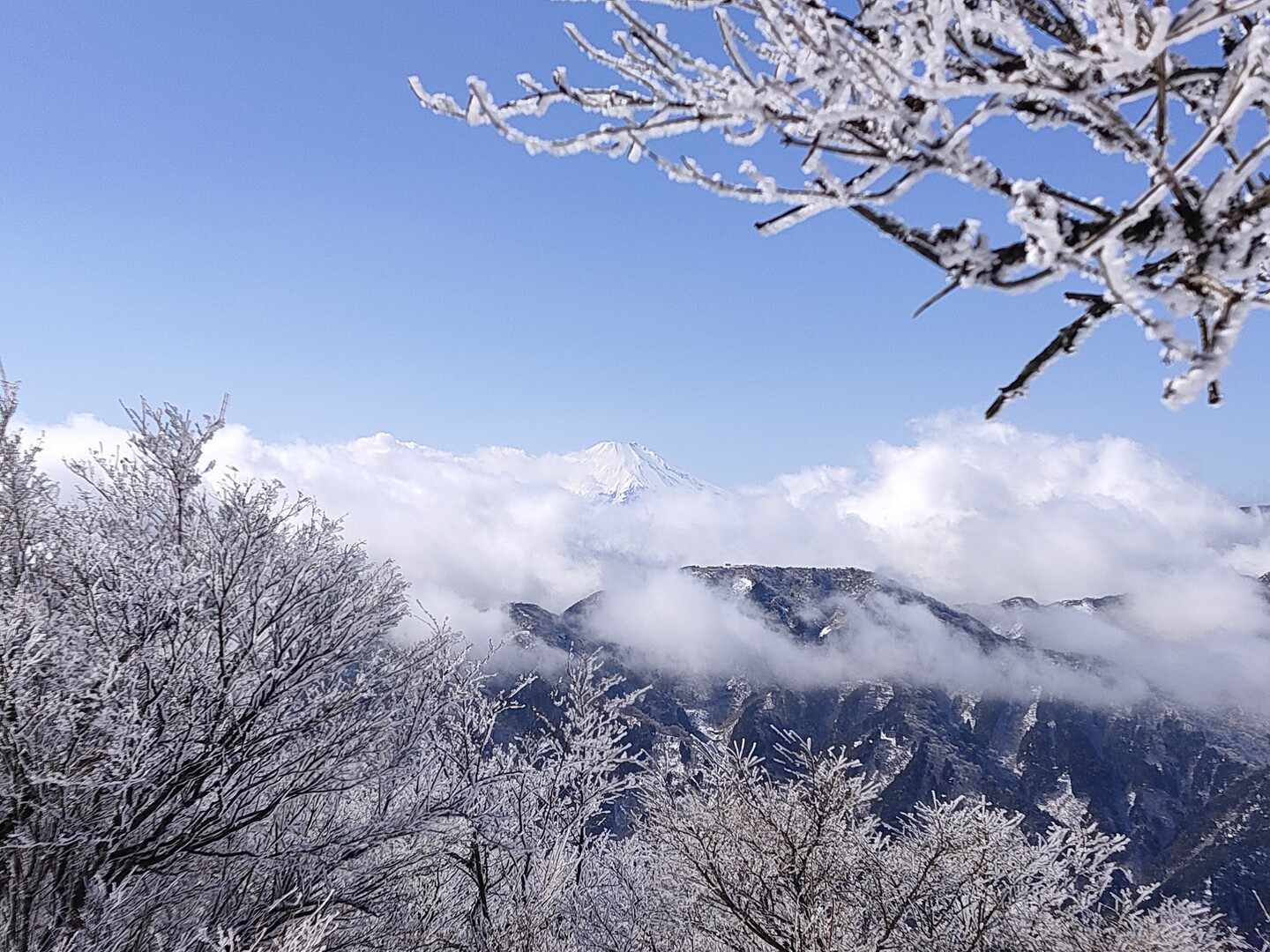 大山 低山雪山ハイク / kenさんの大山の活動データ | YAMAP / ヤマップ