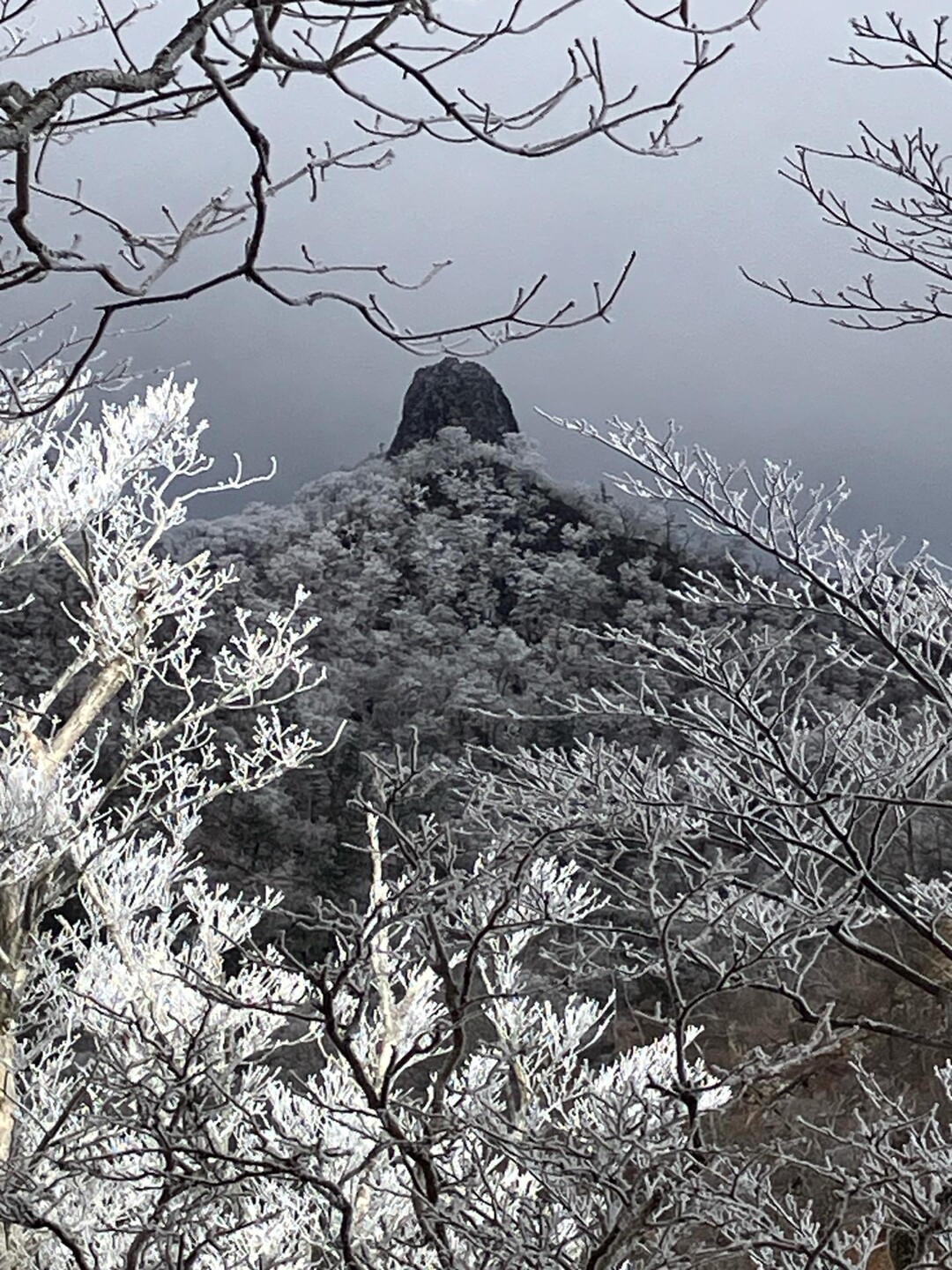 ムヒョ〜🧊の地蔵岳・大崩山・鹿納山 / ORIBAさんの大崩山・五葉岳・新百姓山の活動データ | YAMAP / ヤマップ