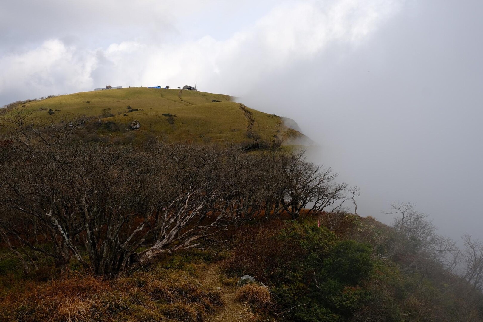 権現山〜打見山 / yosucoさんの比良山地・武奈ヶ岳・釈迦岳の活動データ | YAMAP / ヤマップ