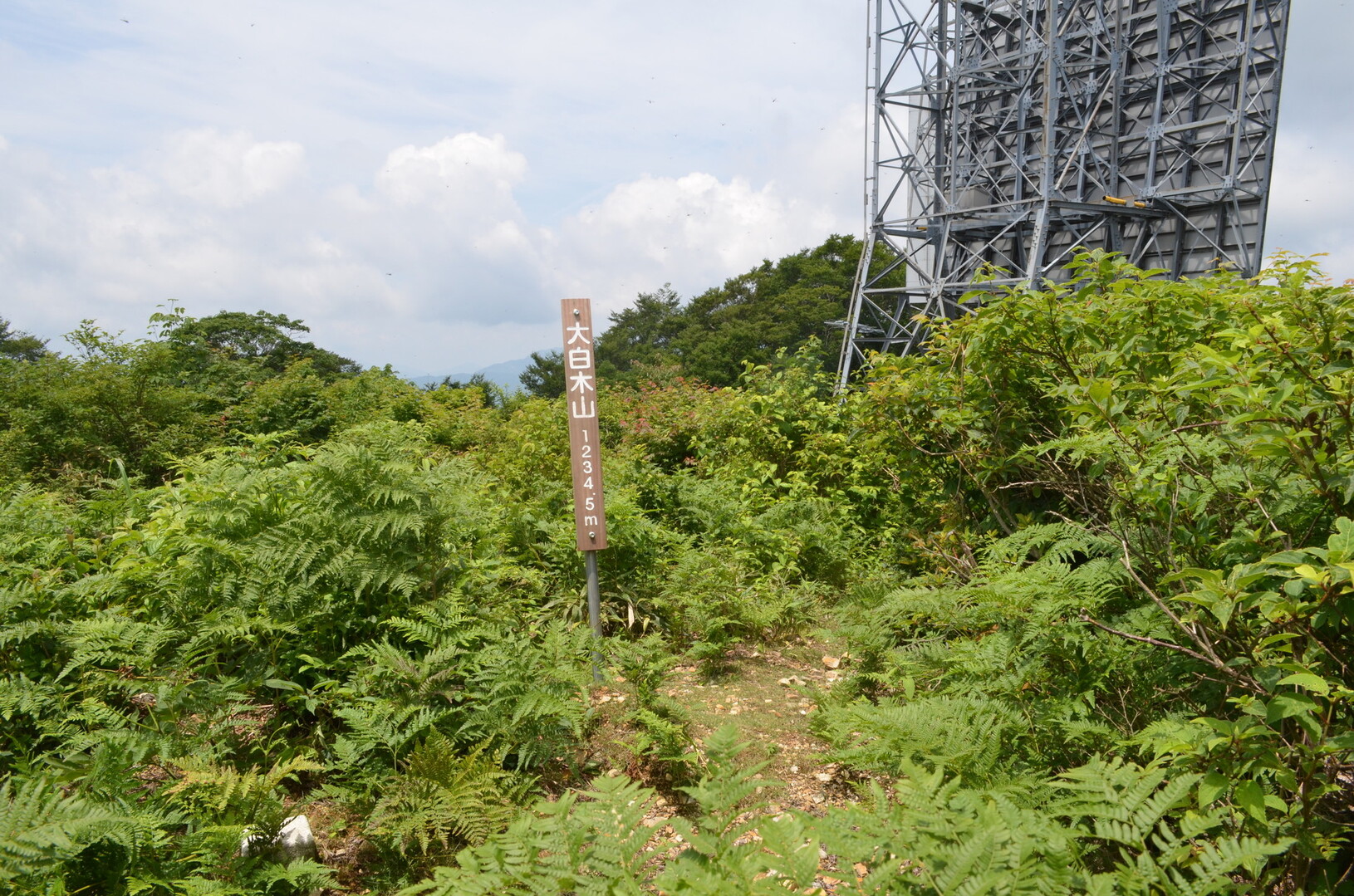 標高1234.5m 大白木山（おじろぎやま） / なふさんの高屋山・大白木山の活動データ | YAMAP / ヤマップ
